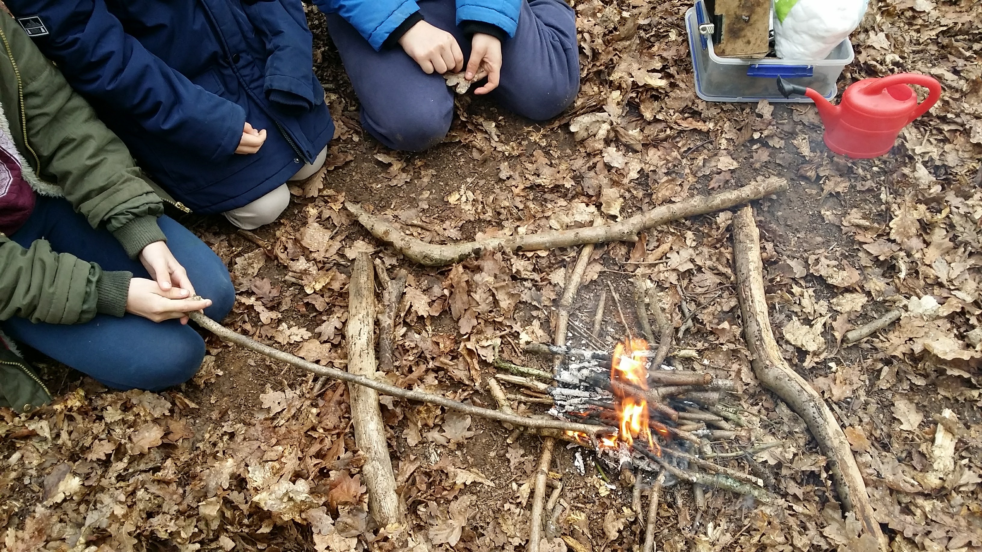 Small Forest school fire | Coast and Forest Education
